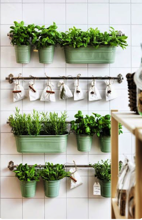 Mini huertos urbanos - Periodico Mi Casa