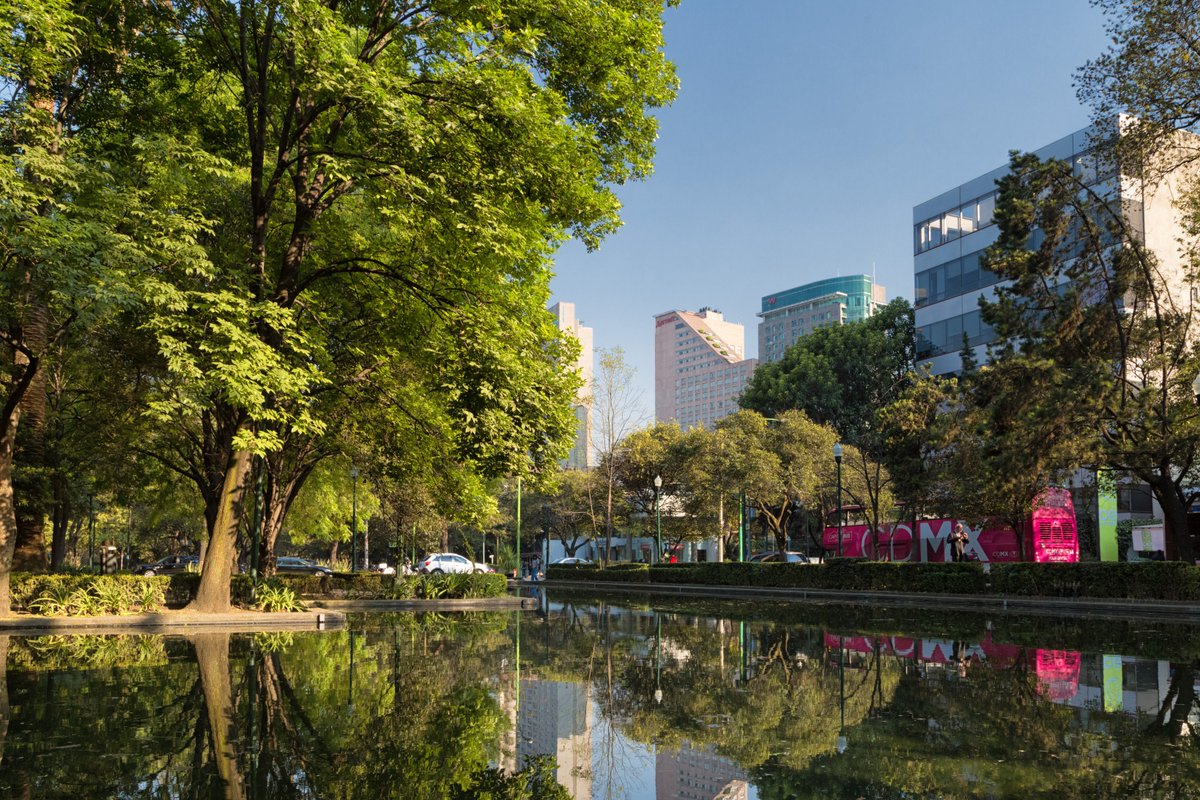 Los mejores parques de la CDMX para visitar un fin de semana
