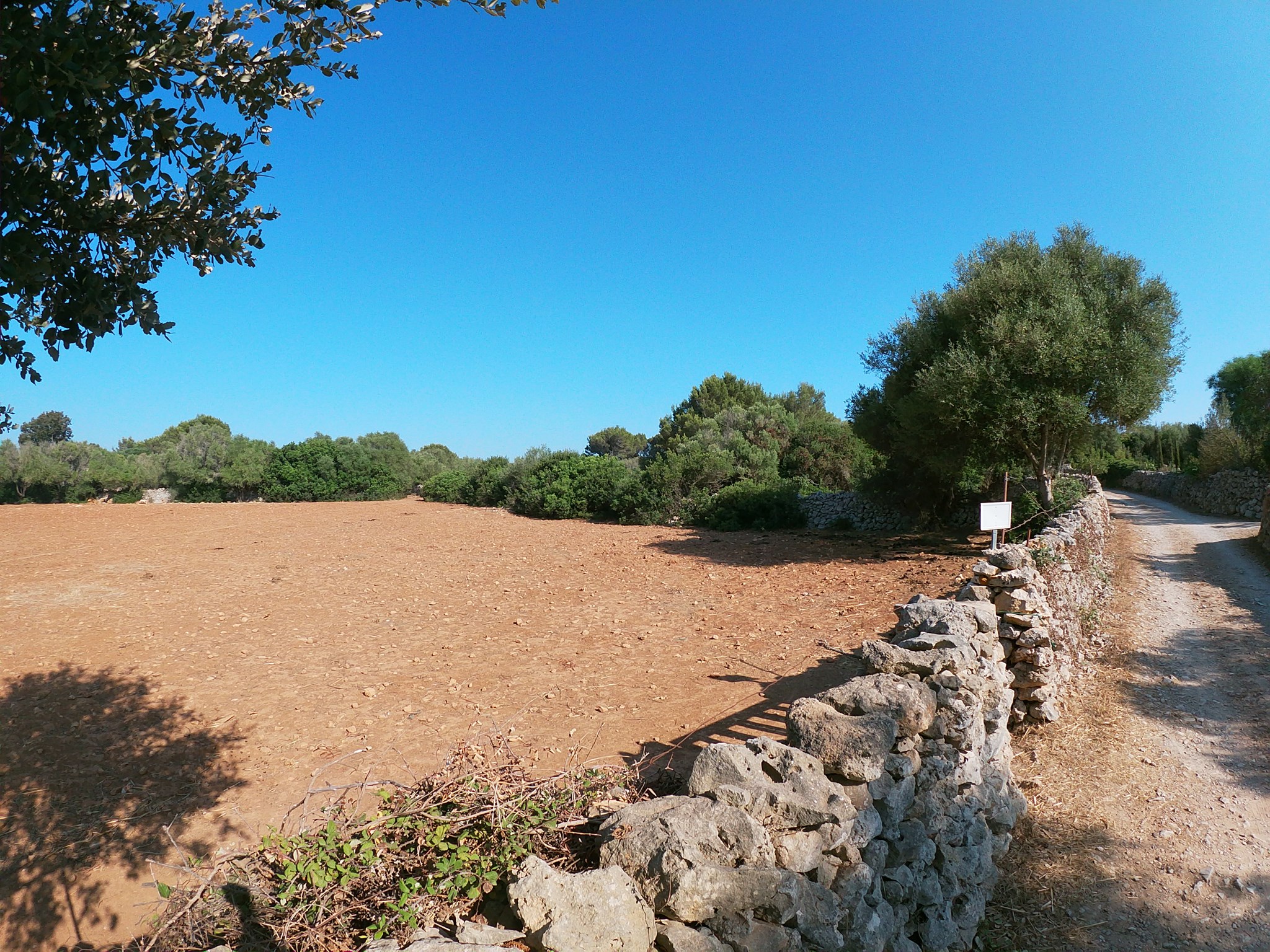 Terreno o lote residencial: ¿cómo se diferencian y cuál conviene más?